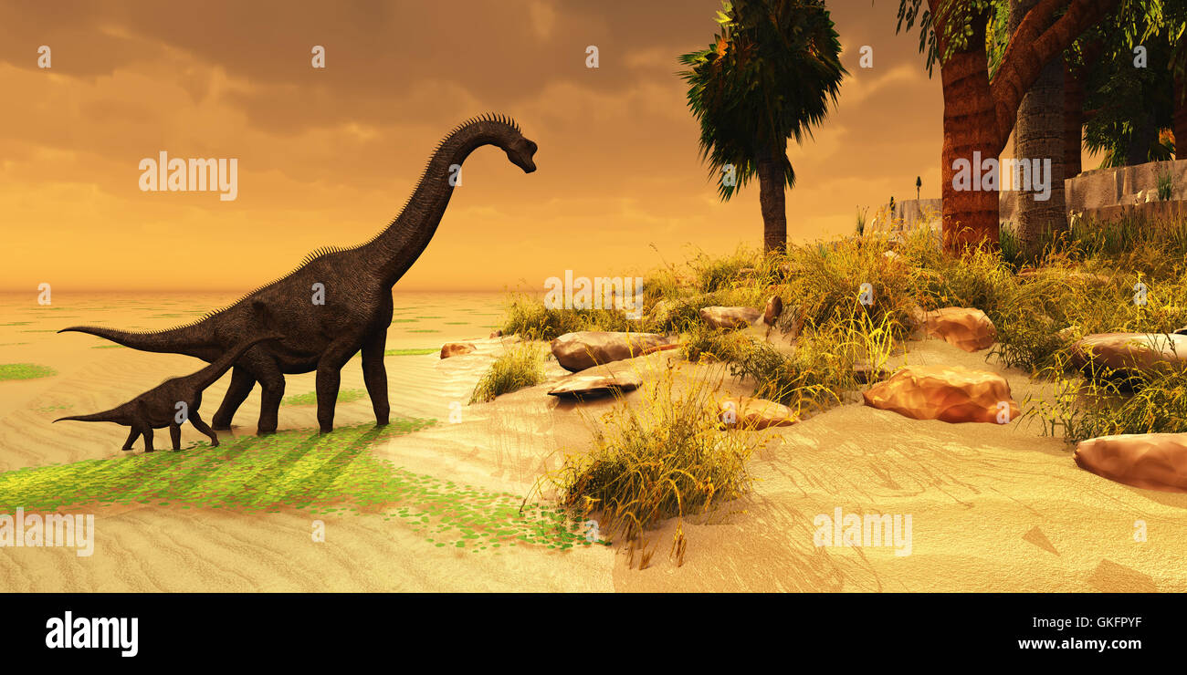 Brachiosaurus fossil hi-res stock photography and images - Alamy