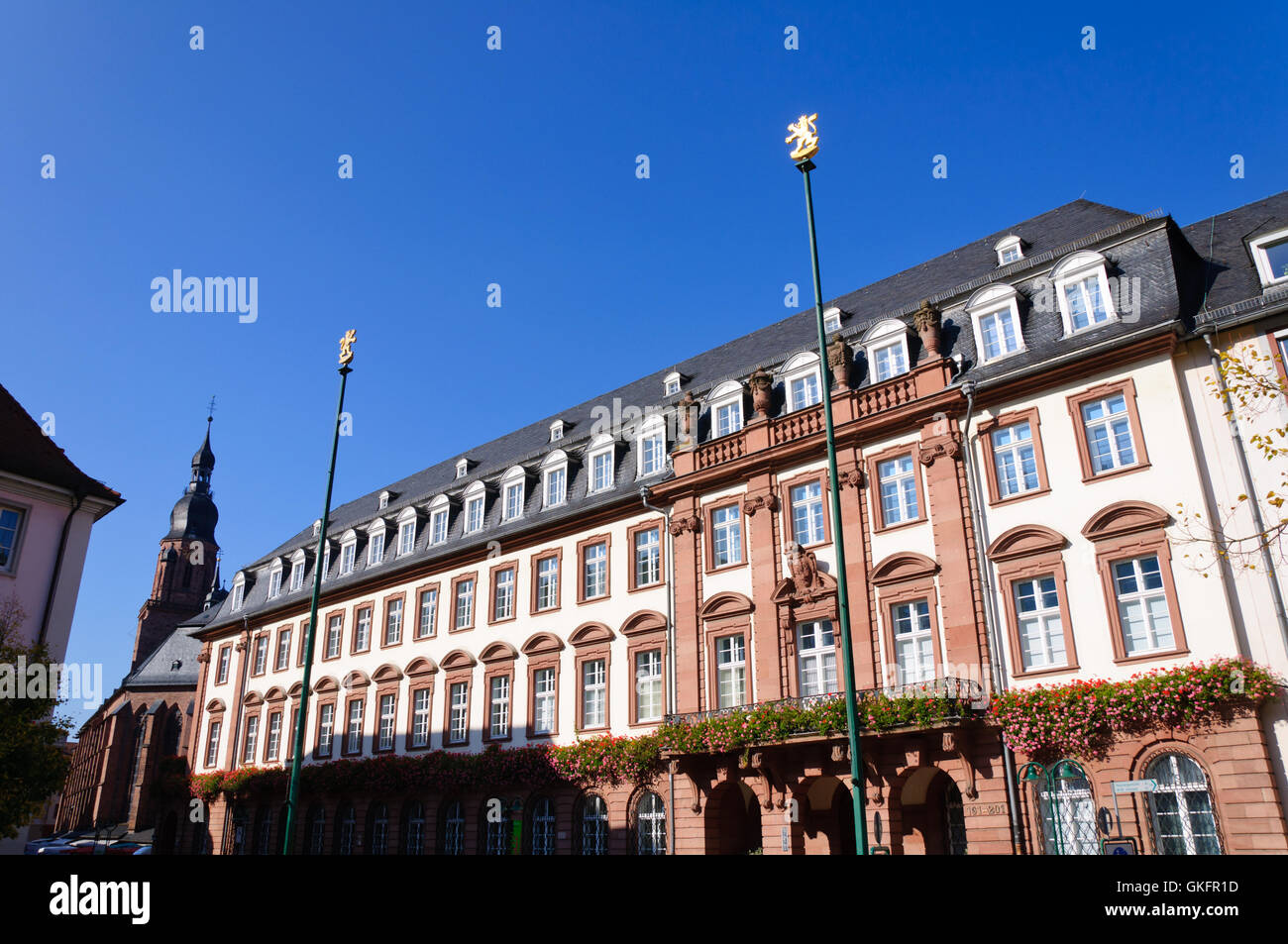 City Hall of Heidelberg, Germany Stock Photo - Alamy