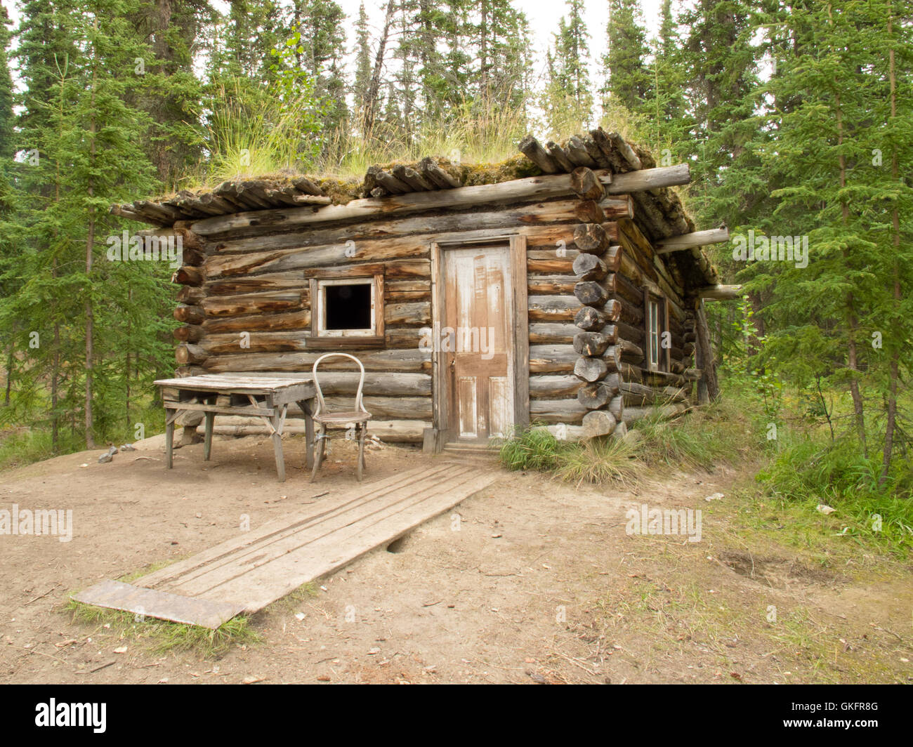 Old traditional log cabin rotting in Yukon taiga Stock Photo - Alamy