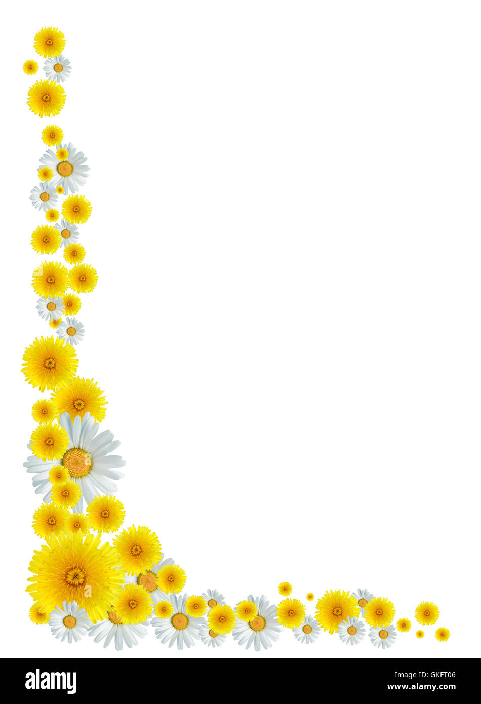 Daisy border Cut Out Stock Images & Pictures - Alamy