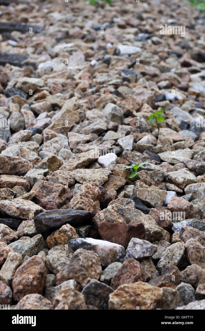 Path path patterns hi-res stock photography and images - Alamy