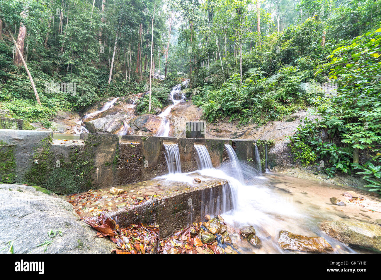 Rainforest waterfall at Malaysia Stock Photo - Alamy