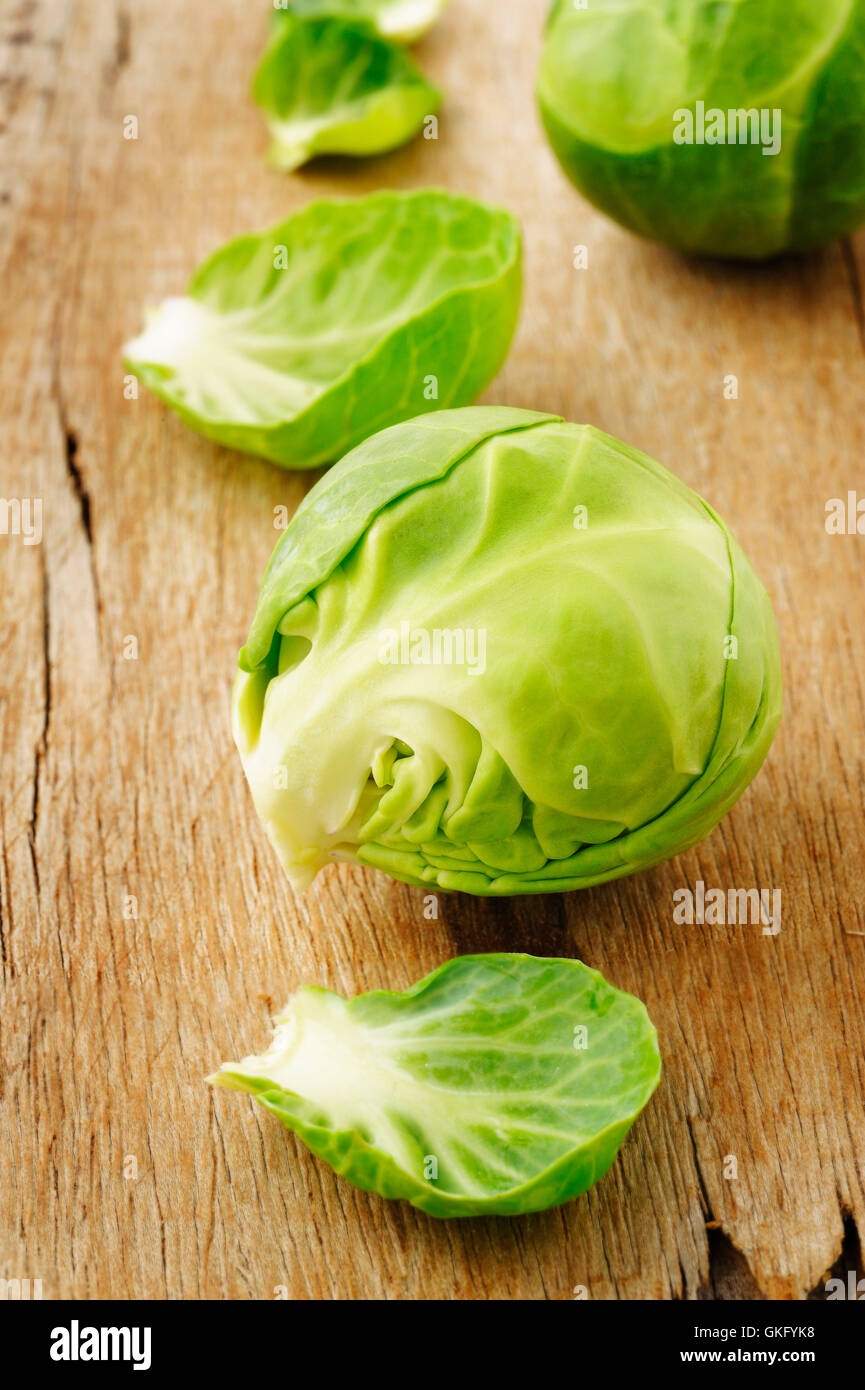 Leaf Bud High Resolution Stock Photography and Images - Alamy