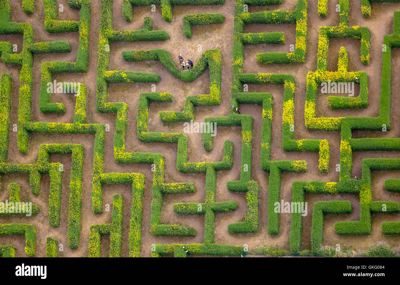 Aerial view, hedge maze, labyrinth, maze Bollewick, Bollewick ... Aerial view, hedge maze, labyrinth, maze Bollewick, Bollewick ...