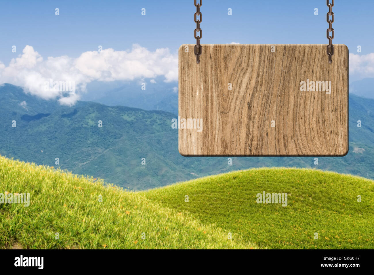 board model design Stock Photo - Alamy