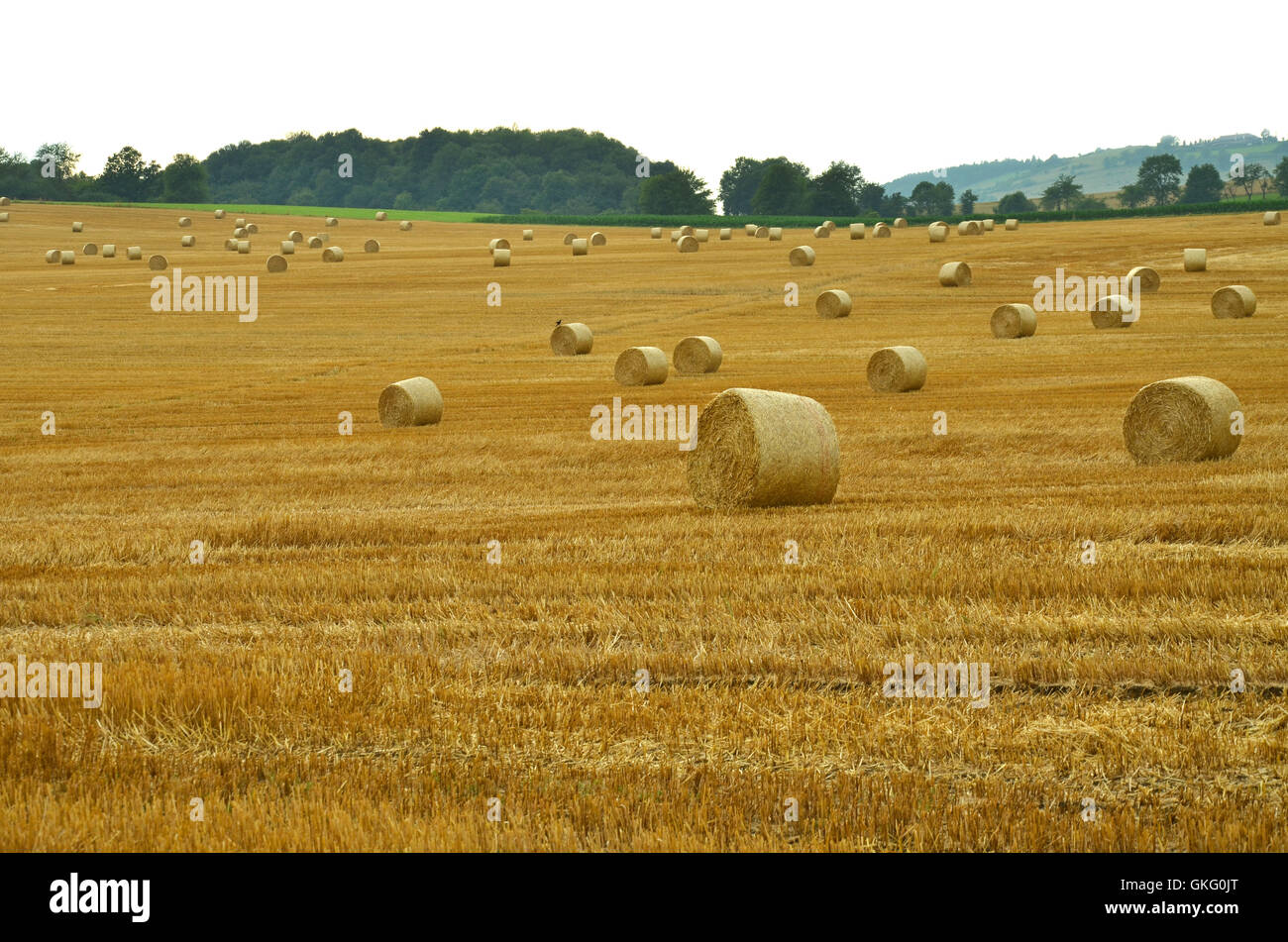 grain thuringia straw ball Stock Photo - Alamy