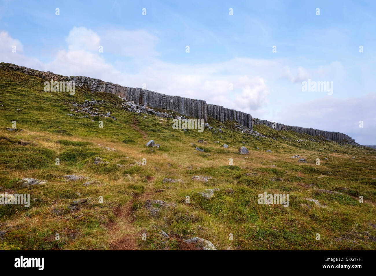 Gerduberg Cliffs, Snaefellsnes, Iceland Stock Photo - Alamy