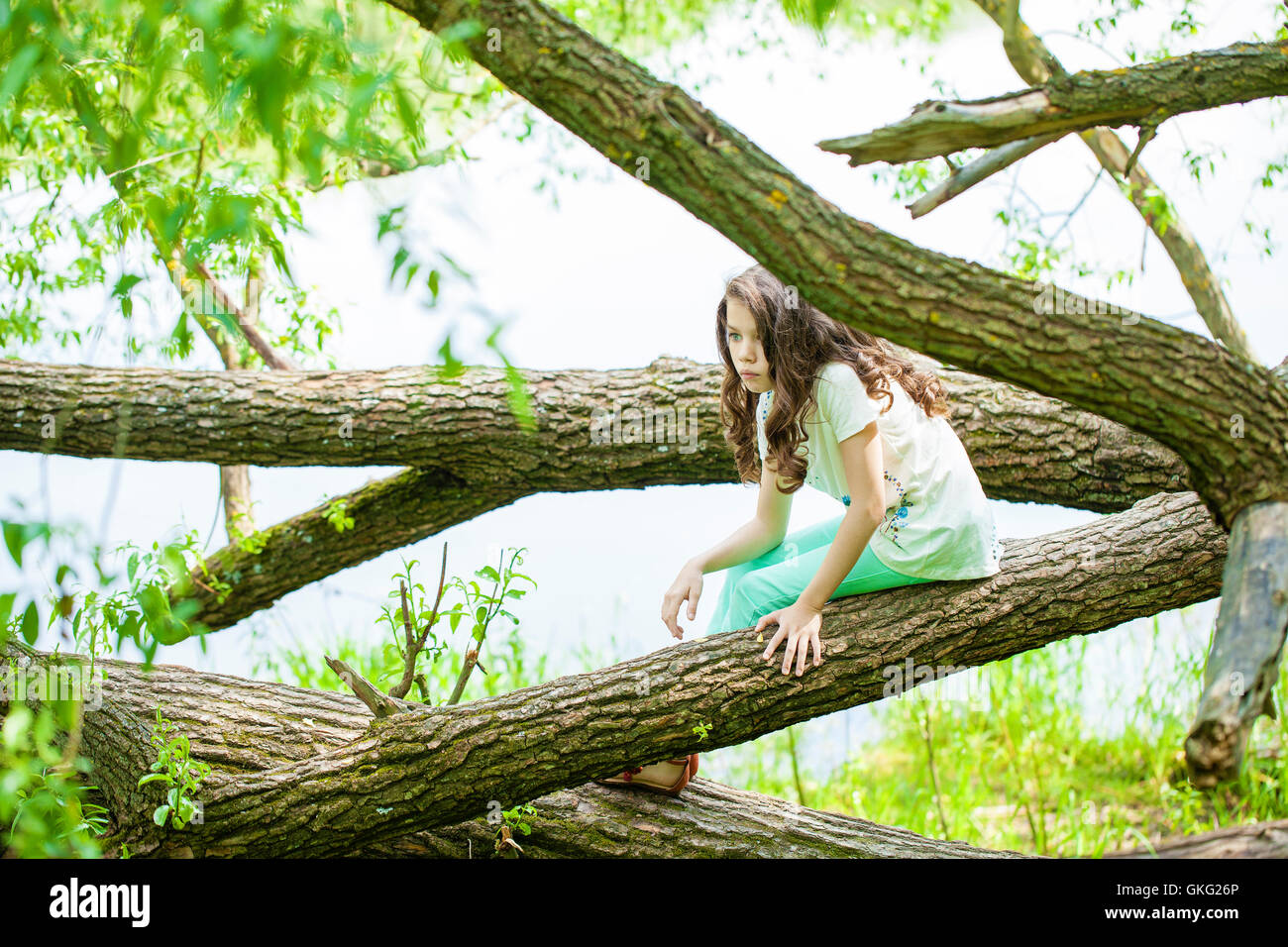 Sitting under tree limb hi-res stock photography and images - Alamy