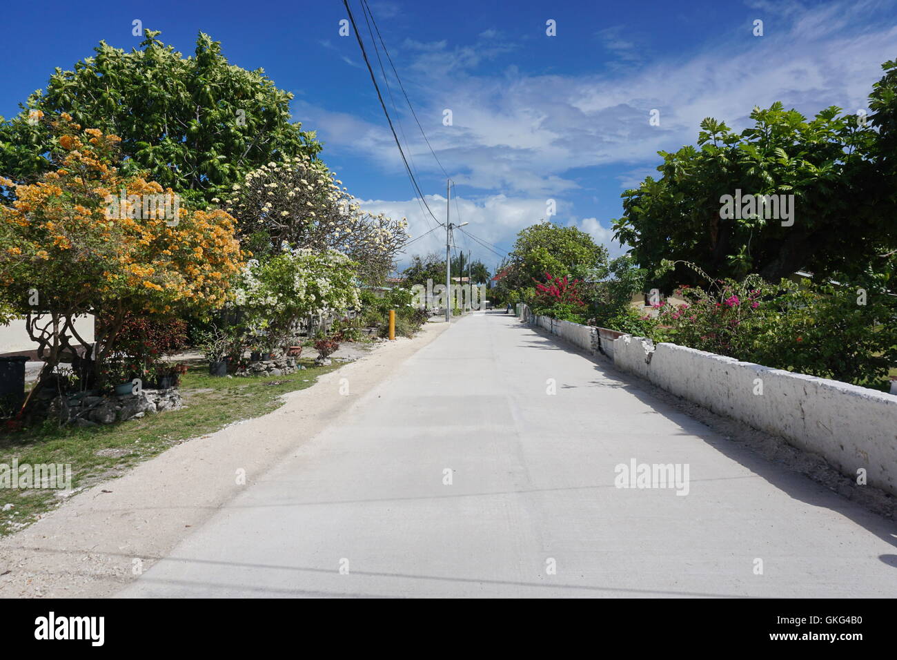 Peaceful street with flowering trees in the small village of Avatoru ...