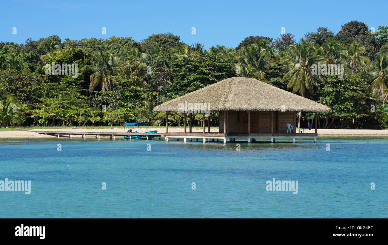 Tropical shore with lush vegetation and a platform with a thatched roof ...