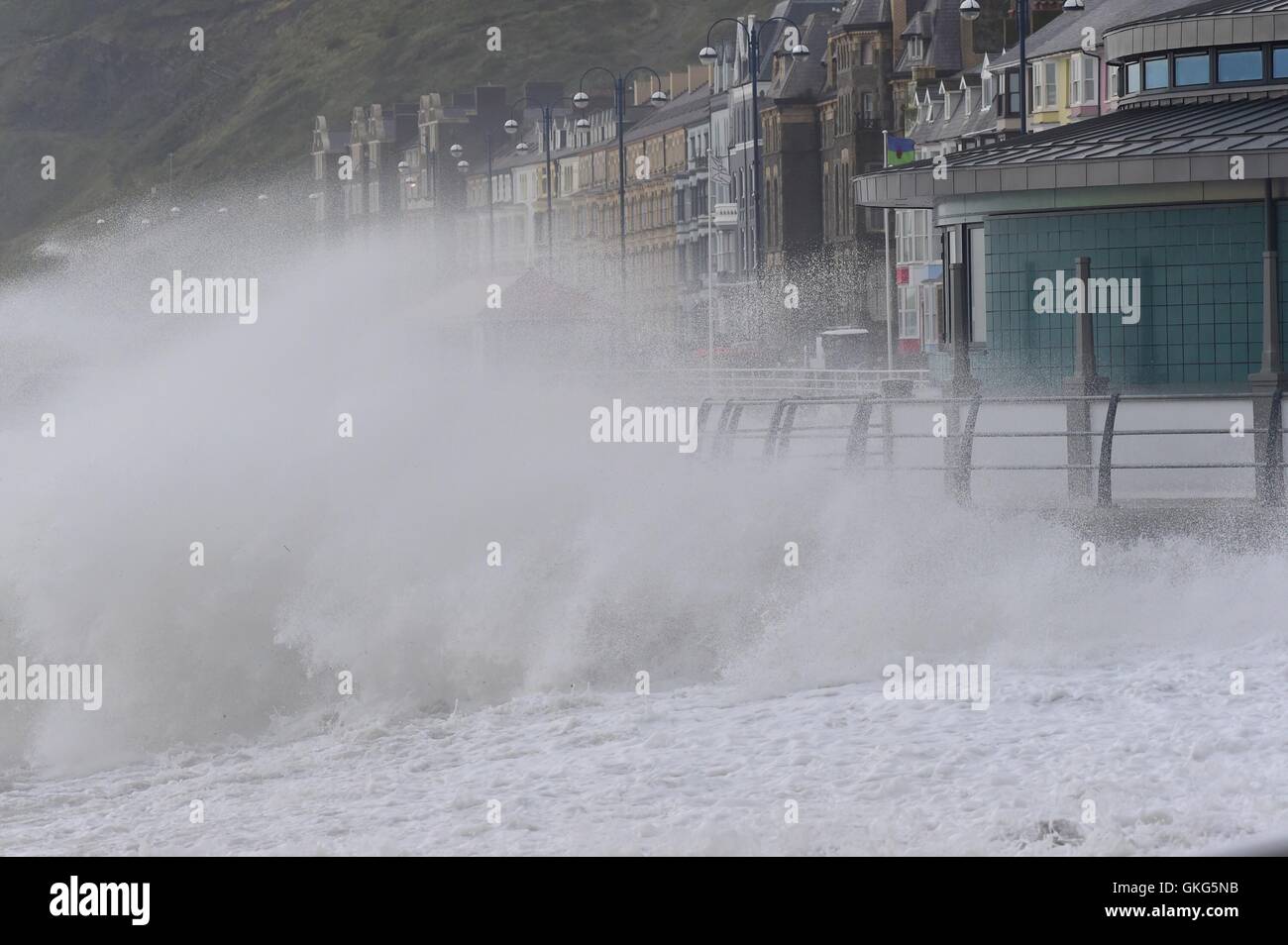 Aberystwyth Wales UK, Saturday 20 August 2016 At gale force winds and ...