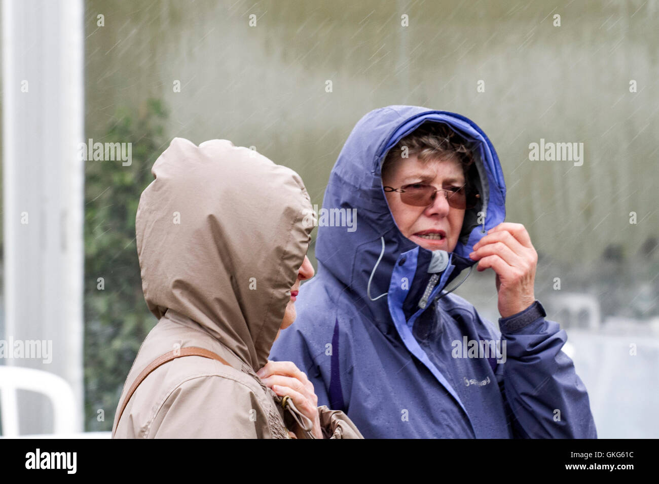a, rain, raindrop, raindrops, rained, raining, sidewalk, pouring down ...