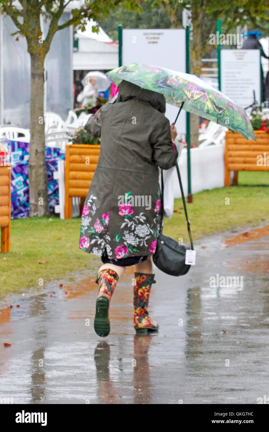 a, rain, raindrop, raindrops, rained, raining, sidewalk, pouring down ...