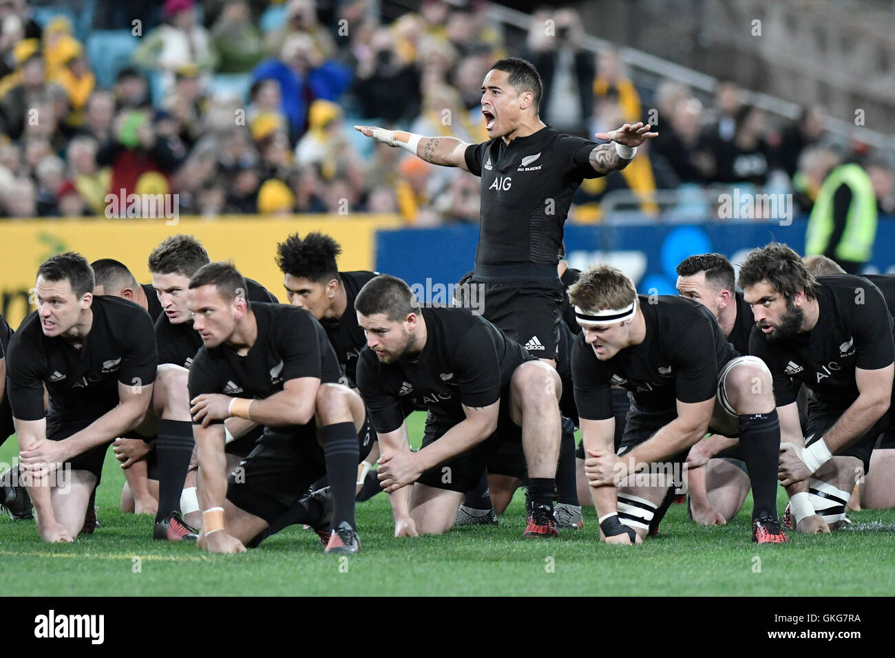 Sydney, Australia. 20th Aug, 2016. The Rugby Championship and Bledisloe ...