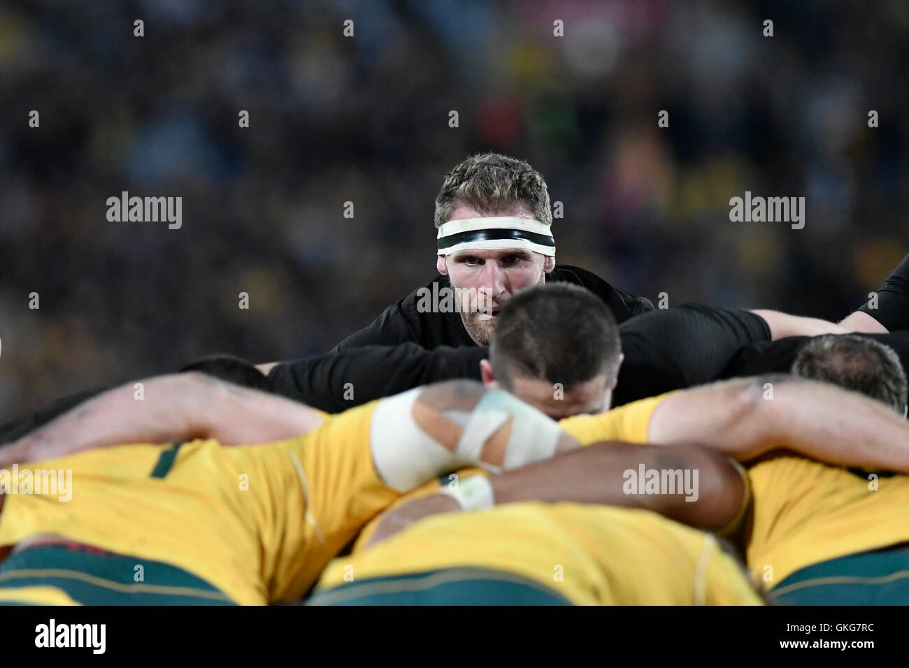 Rugby number 8 scrum hi-res stock photography and images - Alamy