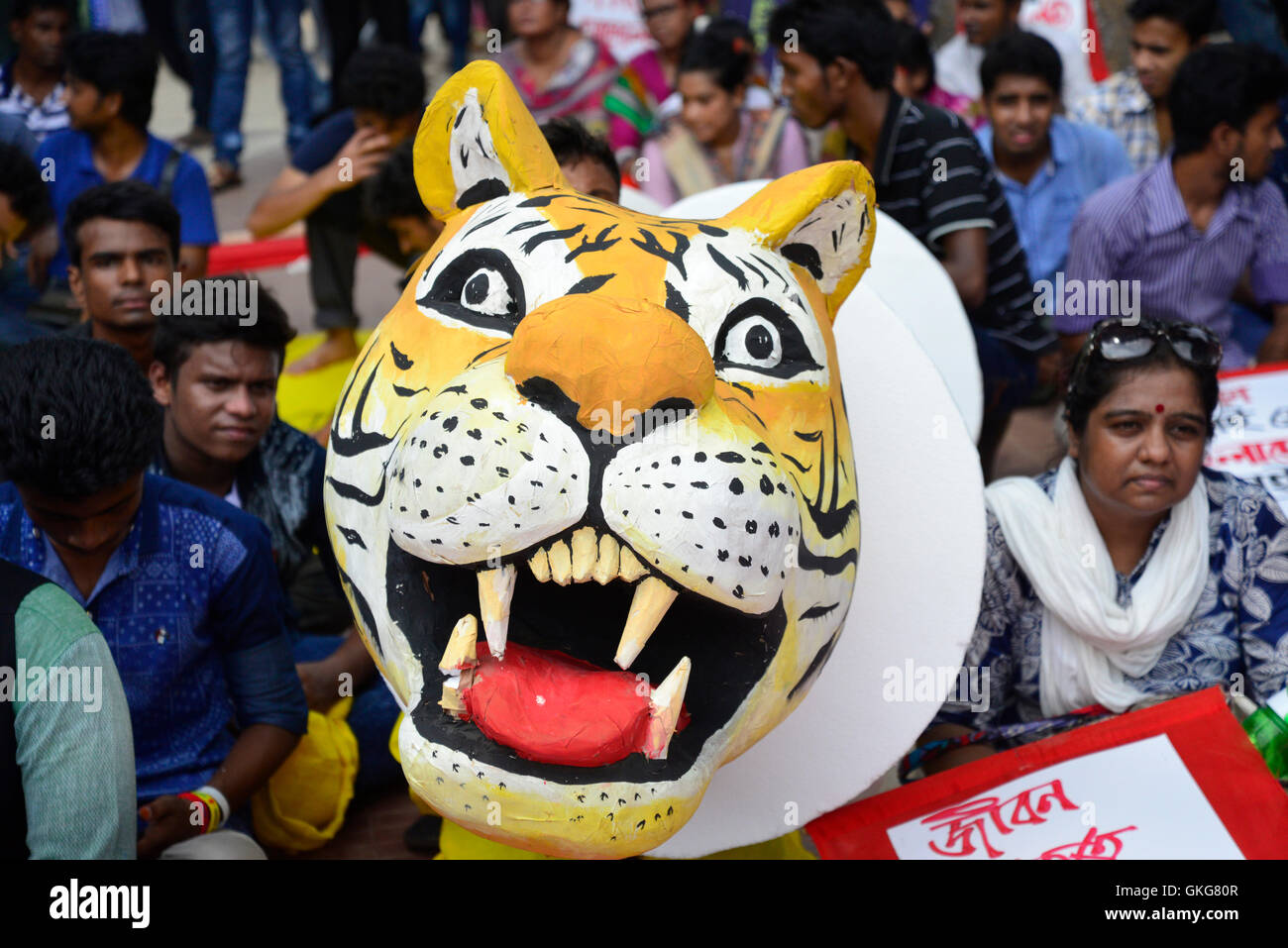 Bangla tiger hi-res stock photography and images - Alamy