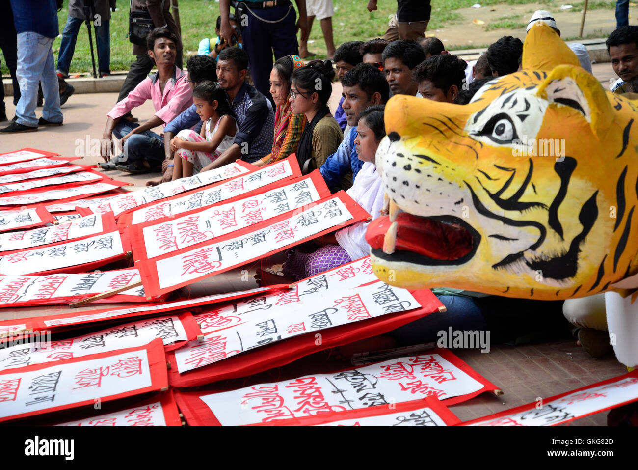 Bangla tigers hi-res stock photography and images - Alamy