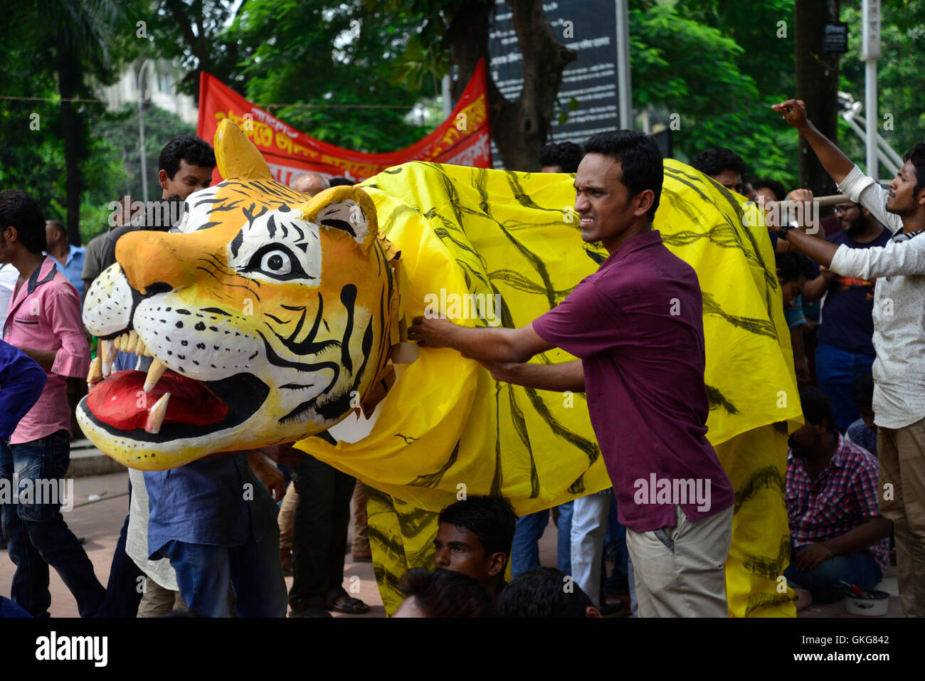 Bangla tigers hi-res stock photography and images - Alamy