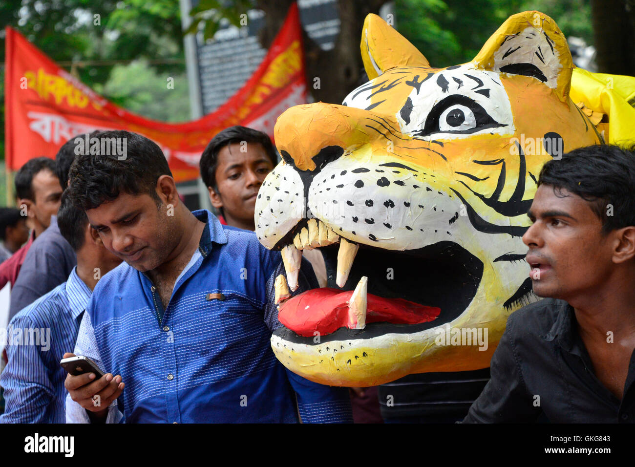 Bangla tigers hi-res stock photography and images - Alamy