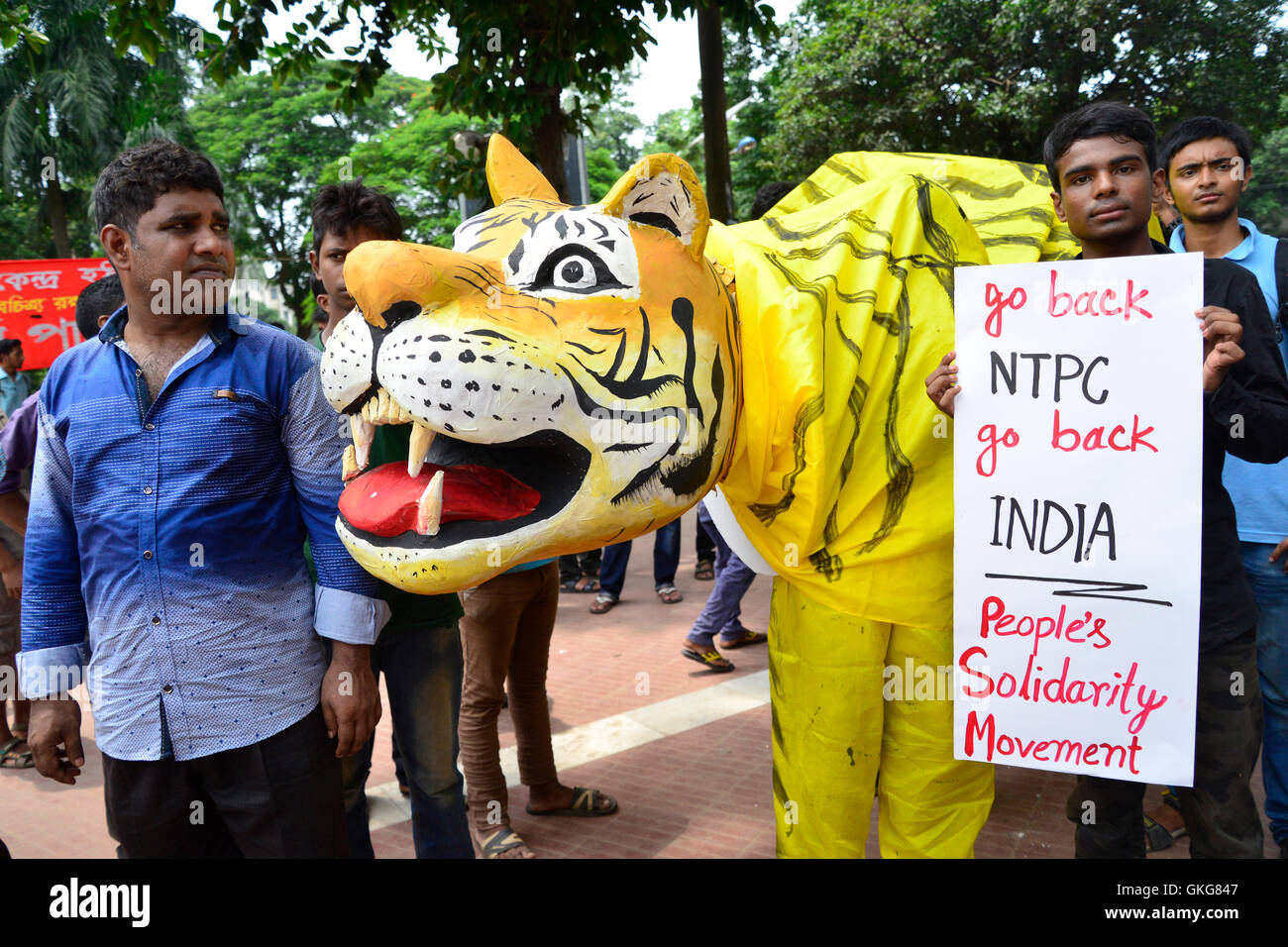 Bangla tigers hi-res stock photography and images - Alamy