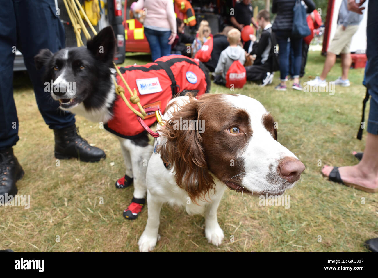 Geraldine Mary Harmsworth Park, Imperial War Museum , London, UK. 20th ...