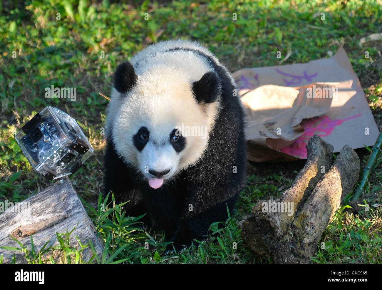 Washington, DC, USA. 20th Aug, 2016. Photo taken on Aug. 20, 2016 shows ...