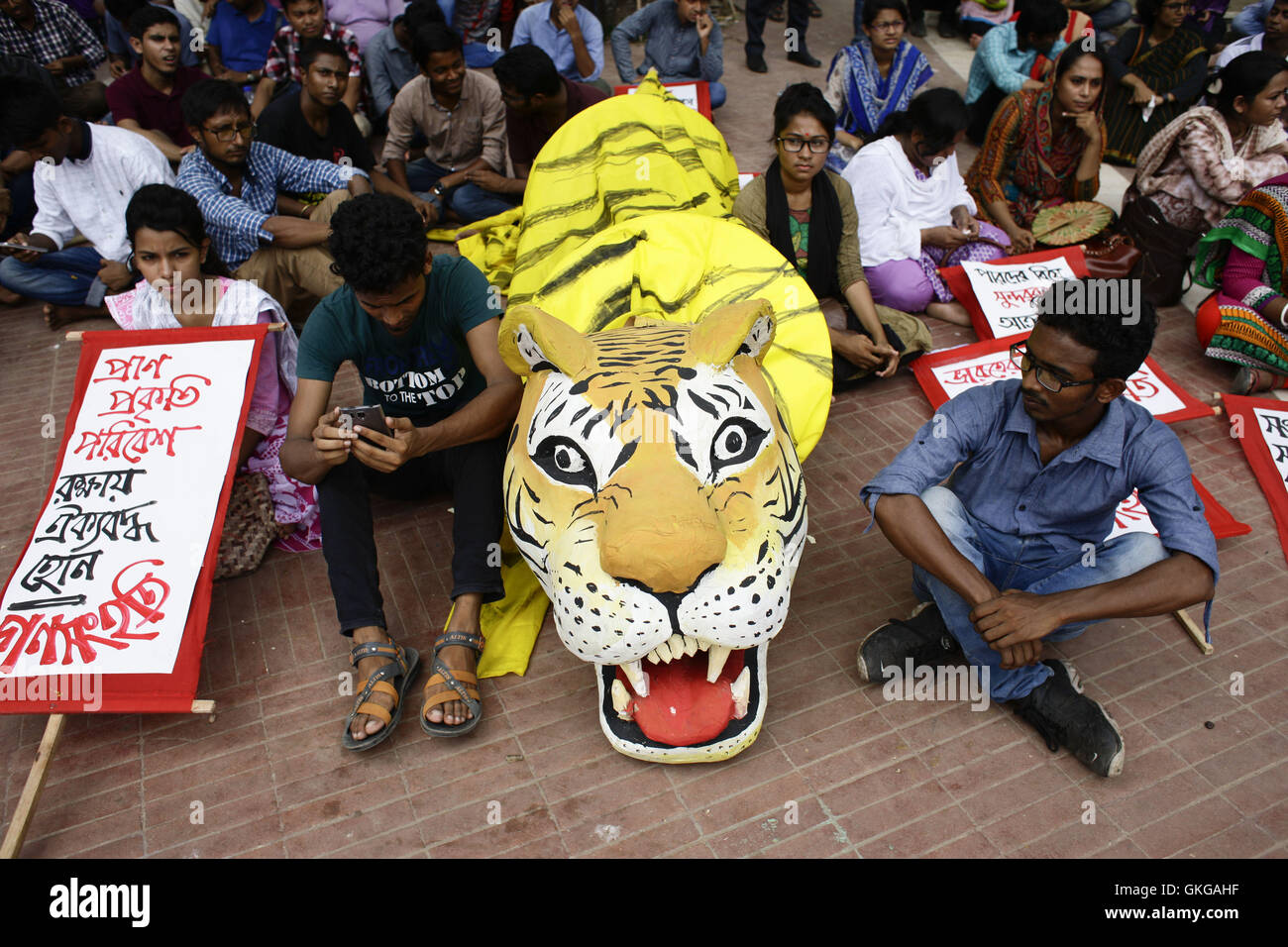 Bangladeshi tiger hi-res stock photography and images - Alamy