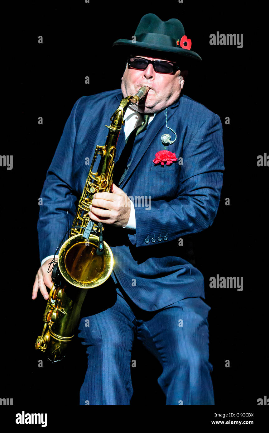 Madness band 80s hi-res stock photography and images - Alamy