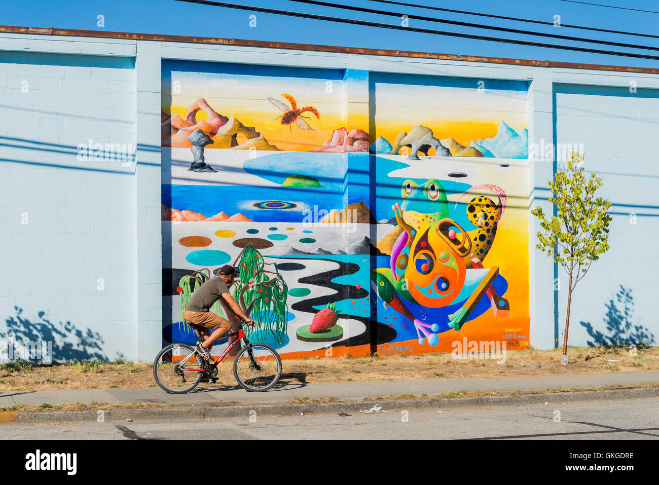 British columbia canada mural festival vancouver mural hi-res stock ...