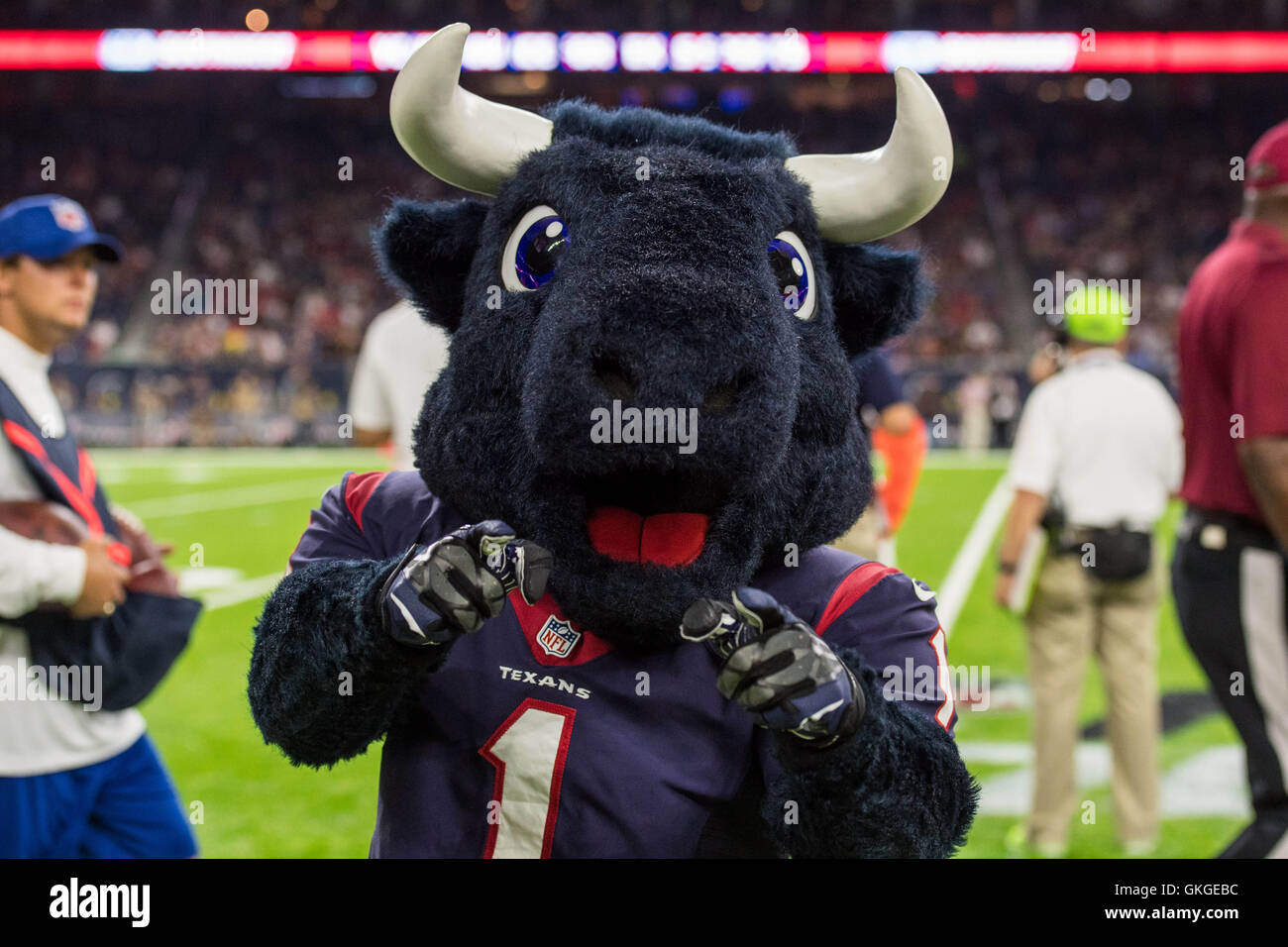 Houston texans mascot hi-res stock photography and images - Alamy