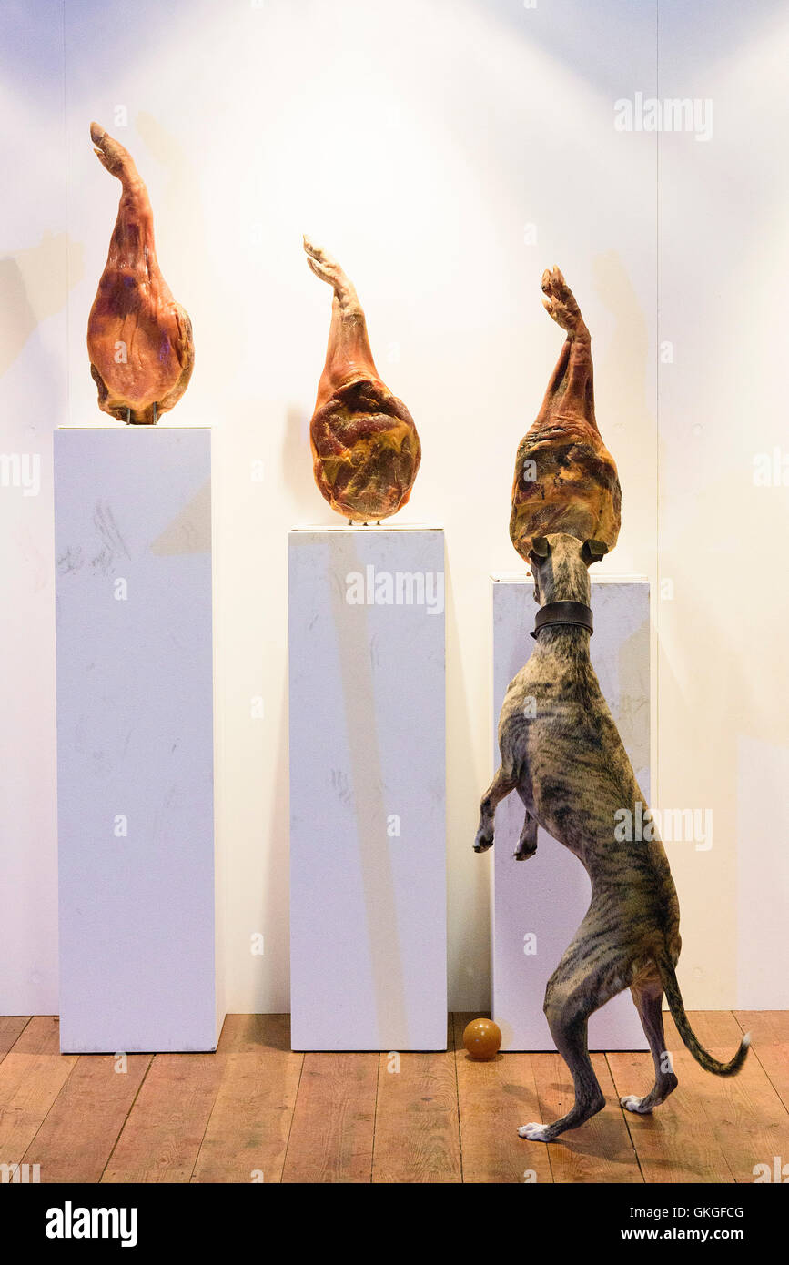 Dominc wilcox hi-res stock photography and images - Alamy