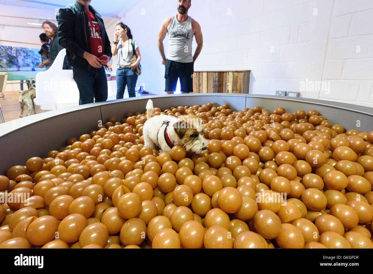 Dominc wilcox hi-res stock photography and images - Alamy