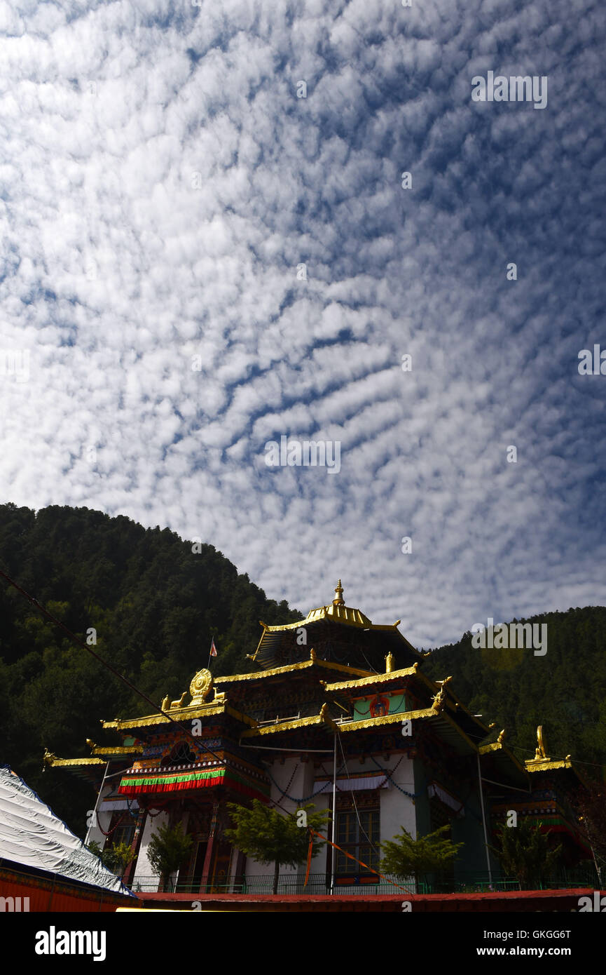 Nyingchi. 21st Aug, 2016. Photo taken on Aug. 21, 2016 shows the ...