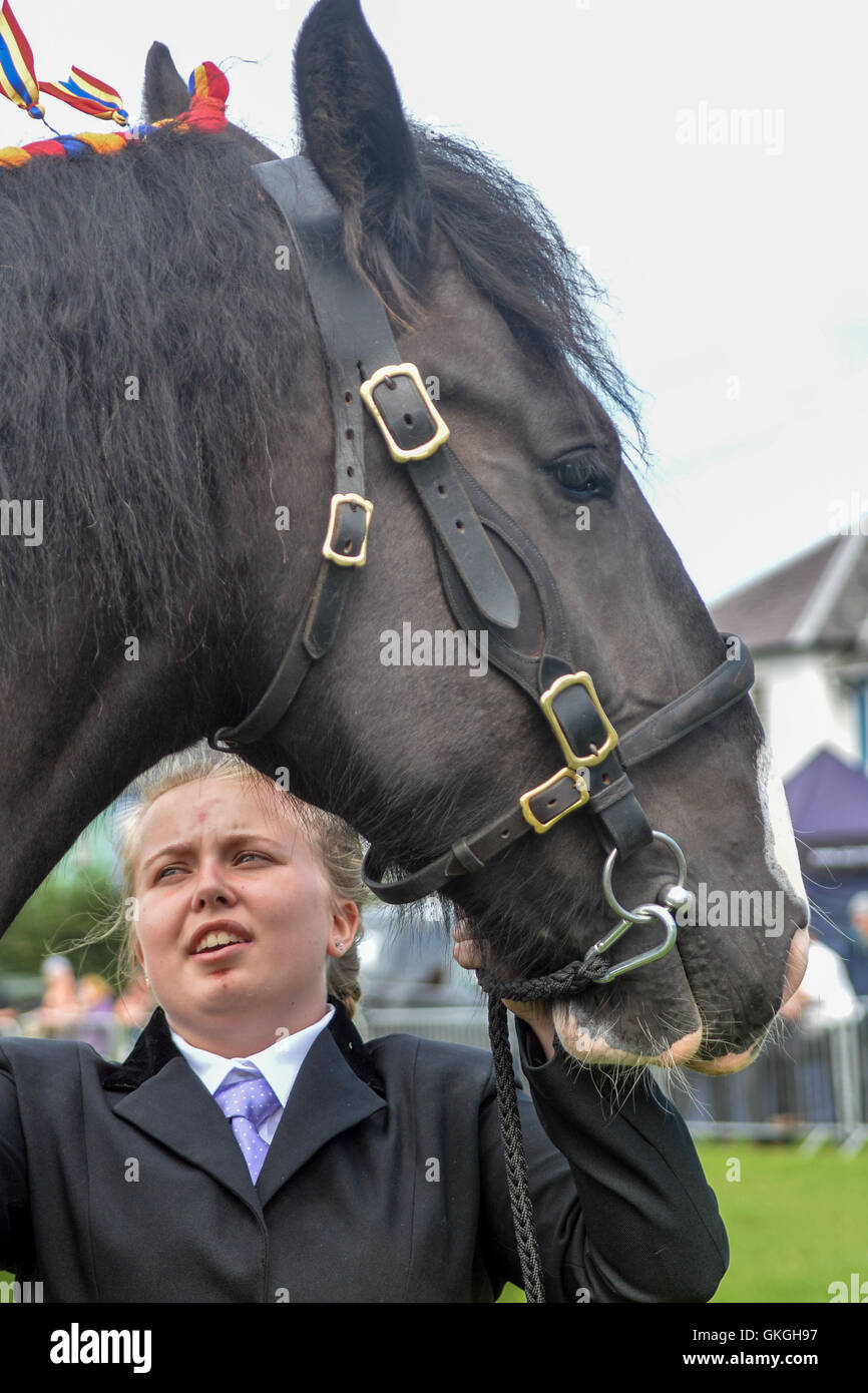 Aberaeron ceredigion west Wales, UK. Sioe Flynyddol for the first time ...