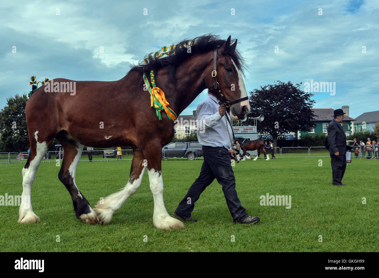 Aberaeron ceredigion west Wales, UK. Sioe Flynyddol for the first time ...