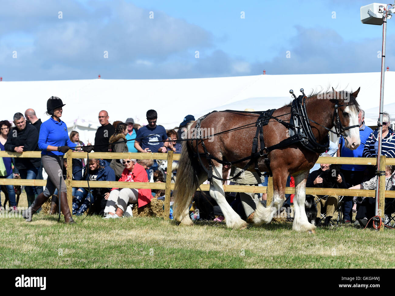 Buckham fair hi-res stock photography and images - Alamy