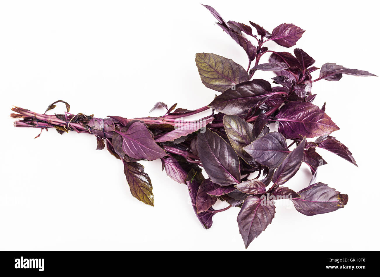 bunch of fresh cut red basil herb on white background Stock Photo - Alamy