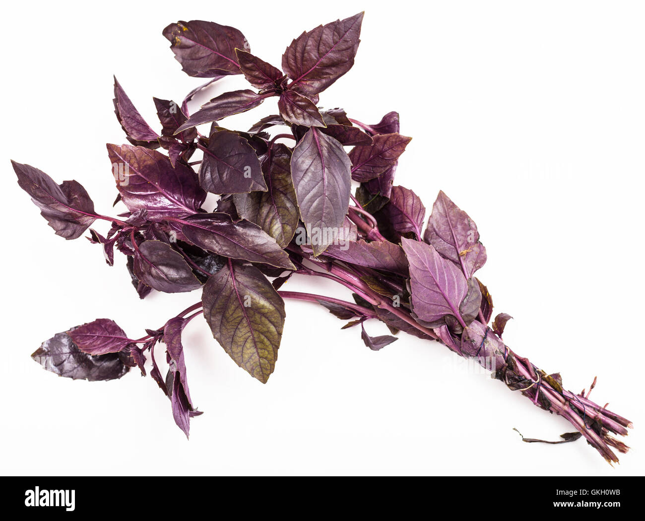 bunch of fresh red basil herb on white background Stock Photo - Alamy