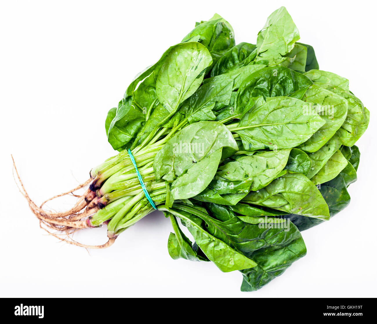 bunch of fresh green spinach herb on white background Stock Photo - Alamy