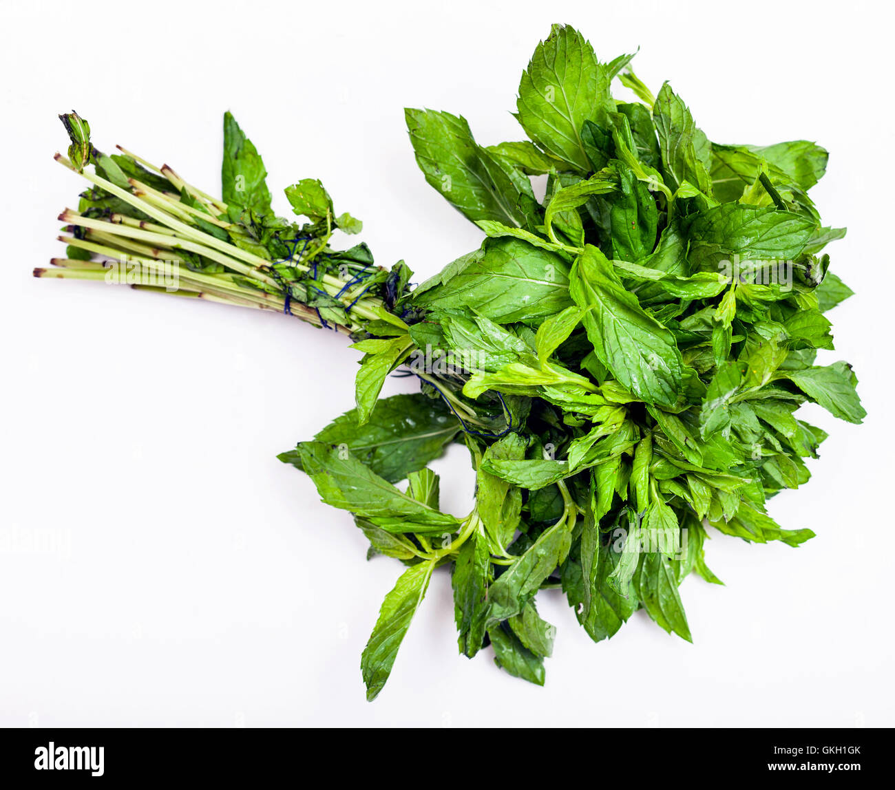 bunch of fresh cut green peppermint herb on white background Stock ...