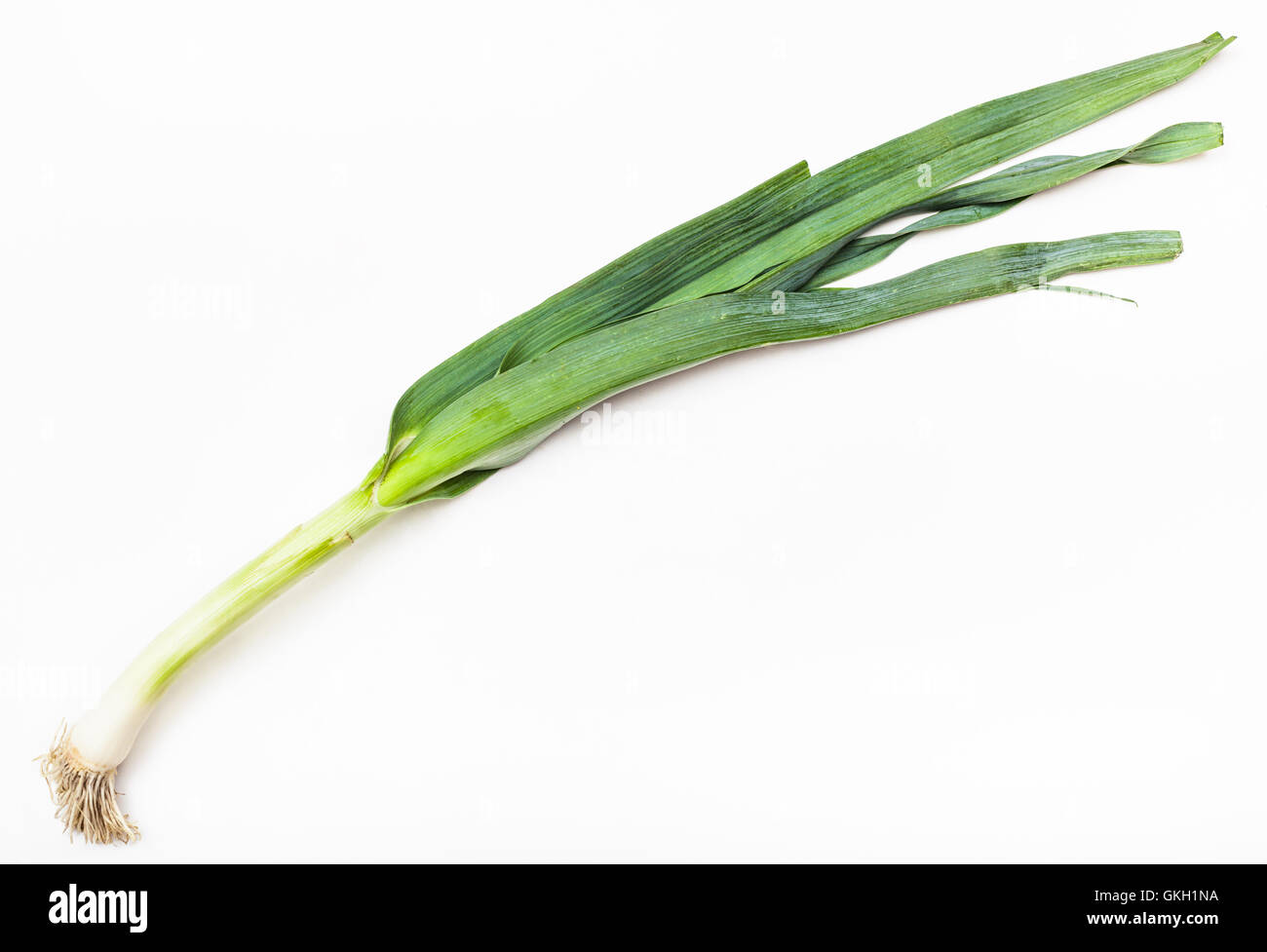 stalk of fresh green leek onion on white background Stock Photo - Alamy