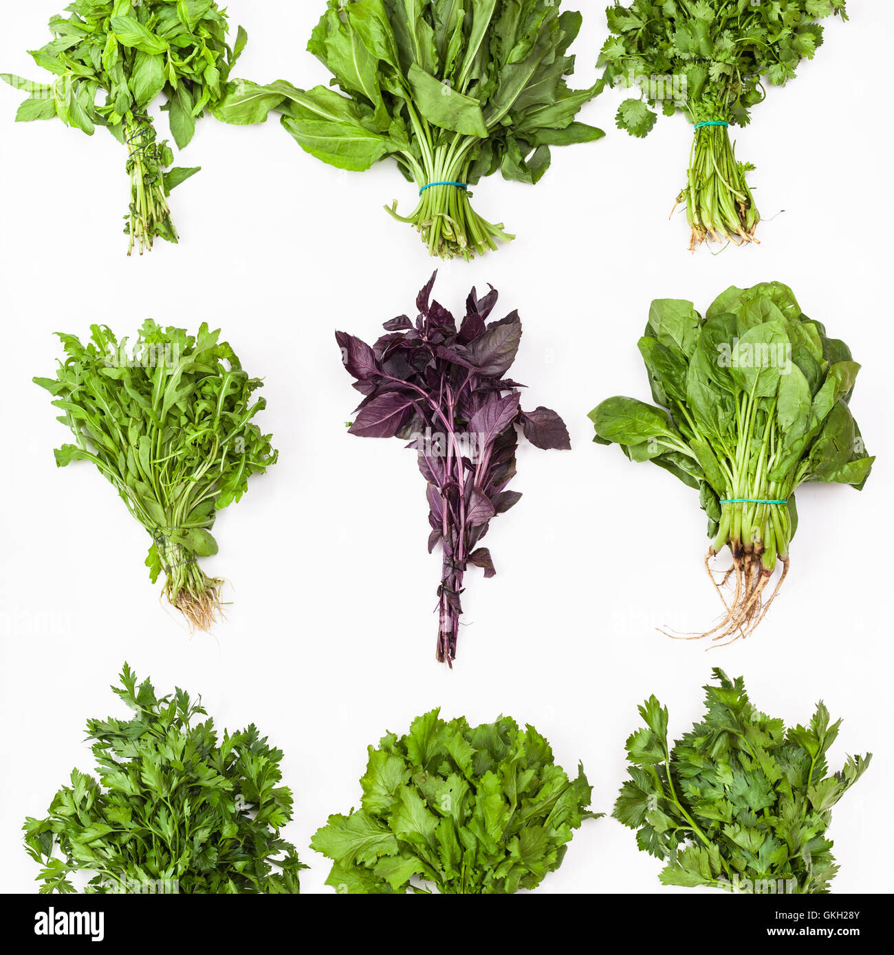set from bunches of fresh culinary grasses (cilantro, sorrel, mint ...