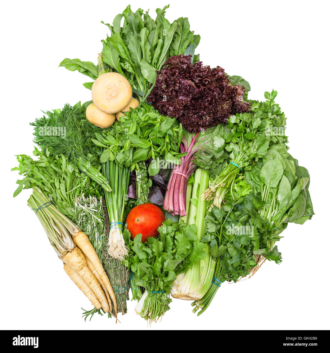 pile of bunches from fresh cut greenery isolated on white background ...