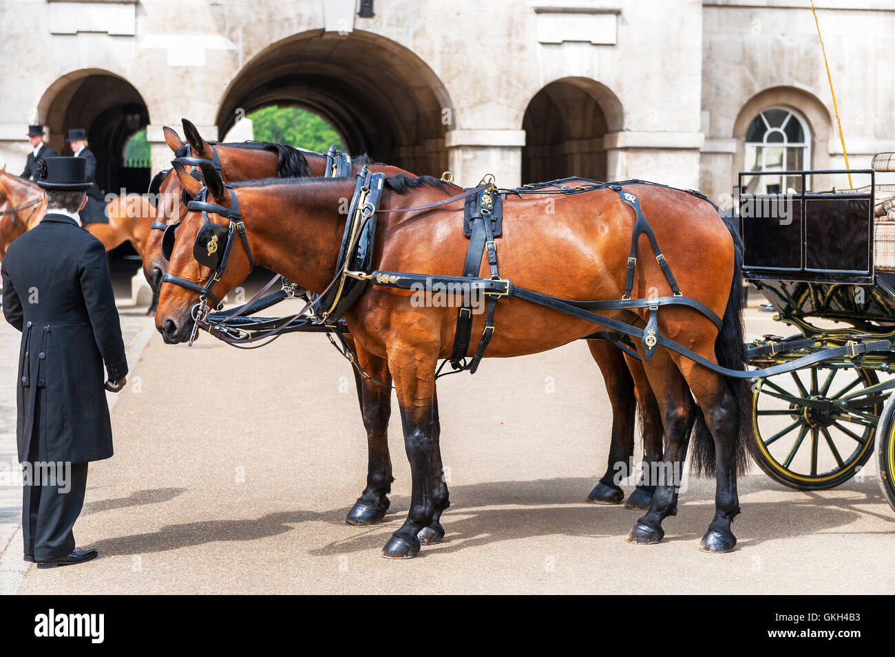 Horses and Coachmen in the Whitehall yard Stock Photo - Alamy