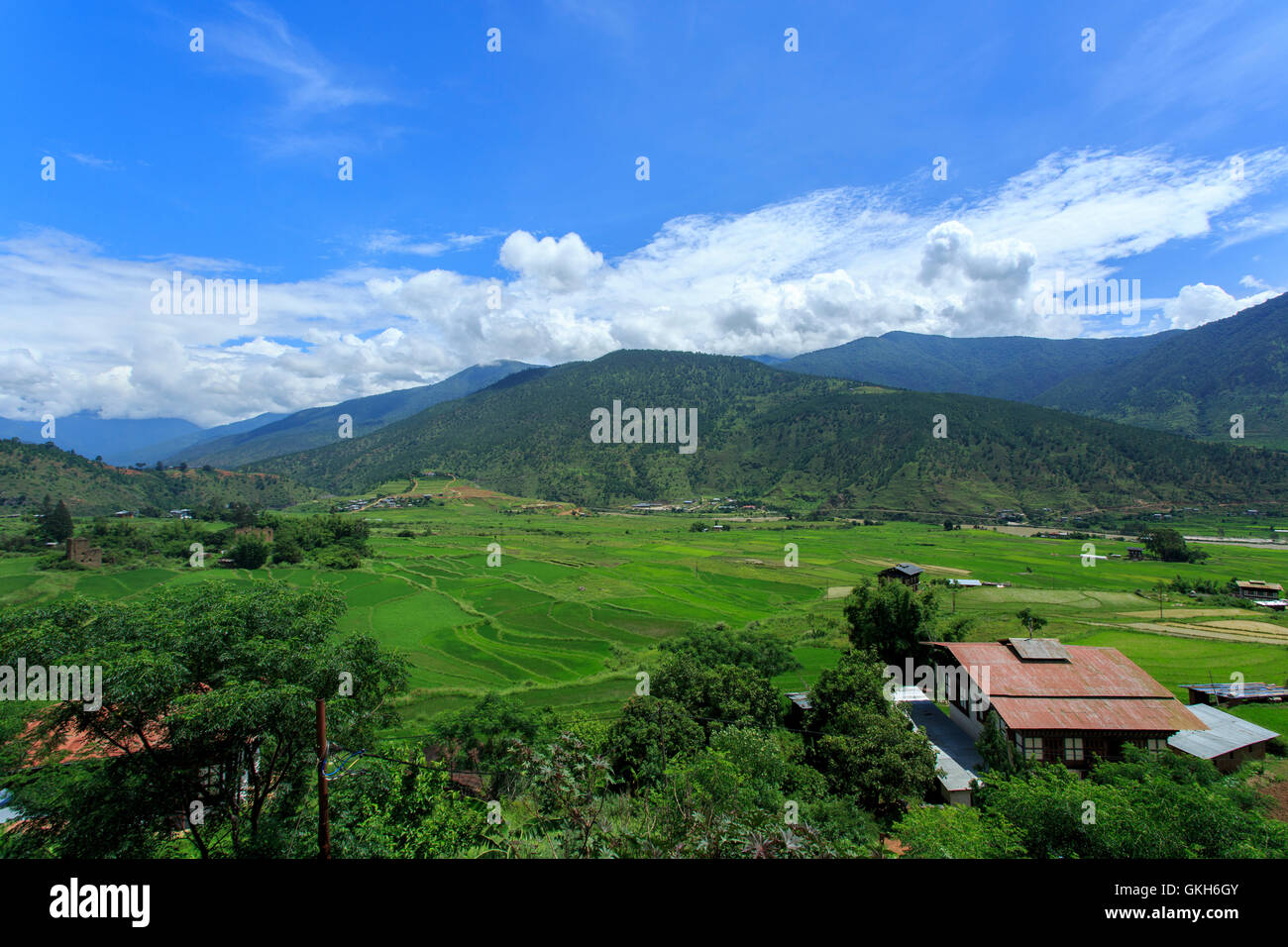 Punakha Valley Bhutan Stock Photo Alamy