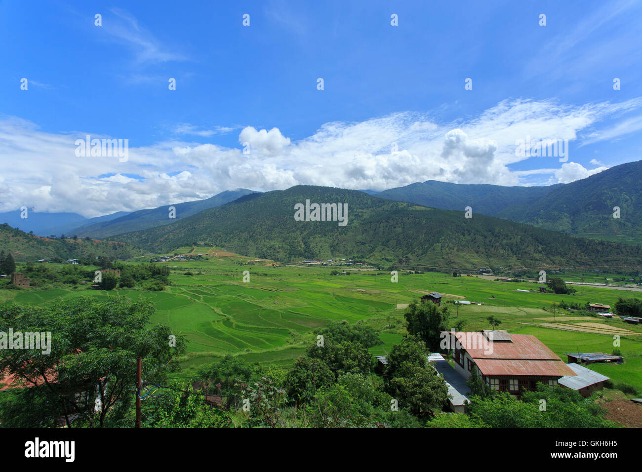 Punakha Valley Bhutan Stock Photo Alamy