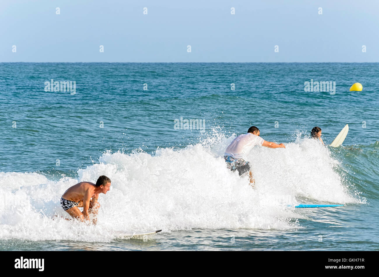 Three surfers riding or trying to catch a wave with their surfboards ...