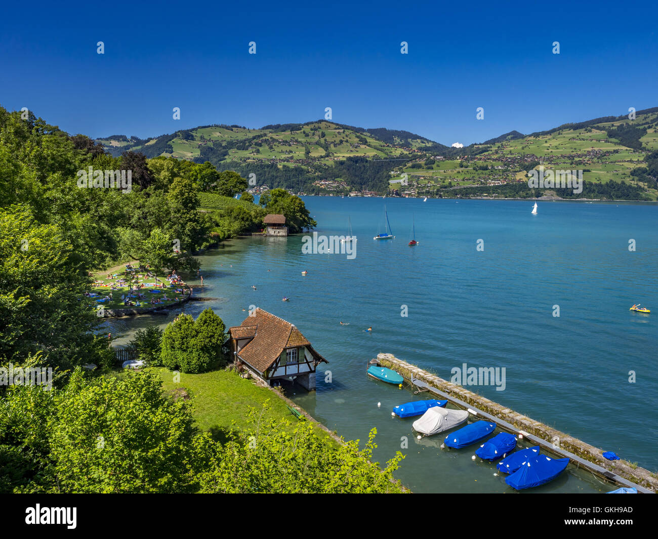Landscape on Lake Thun, Bernese Oberland, Switzerland, Europe Stock ...