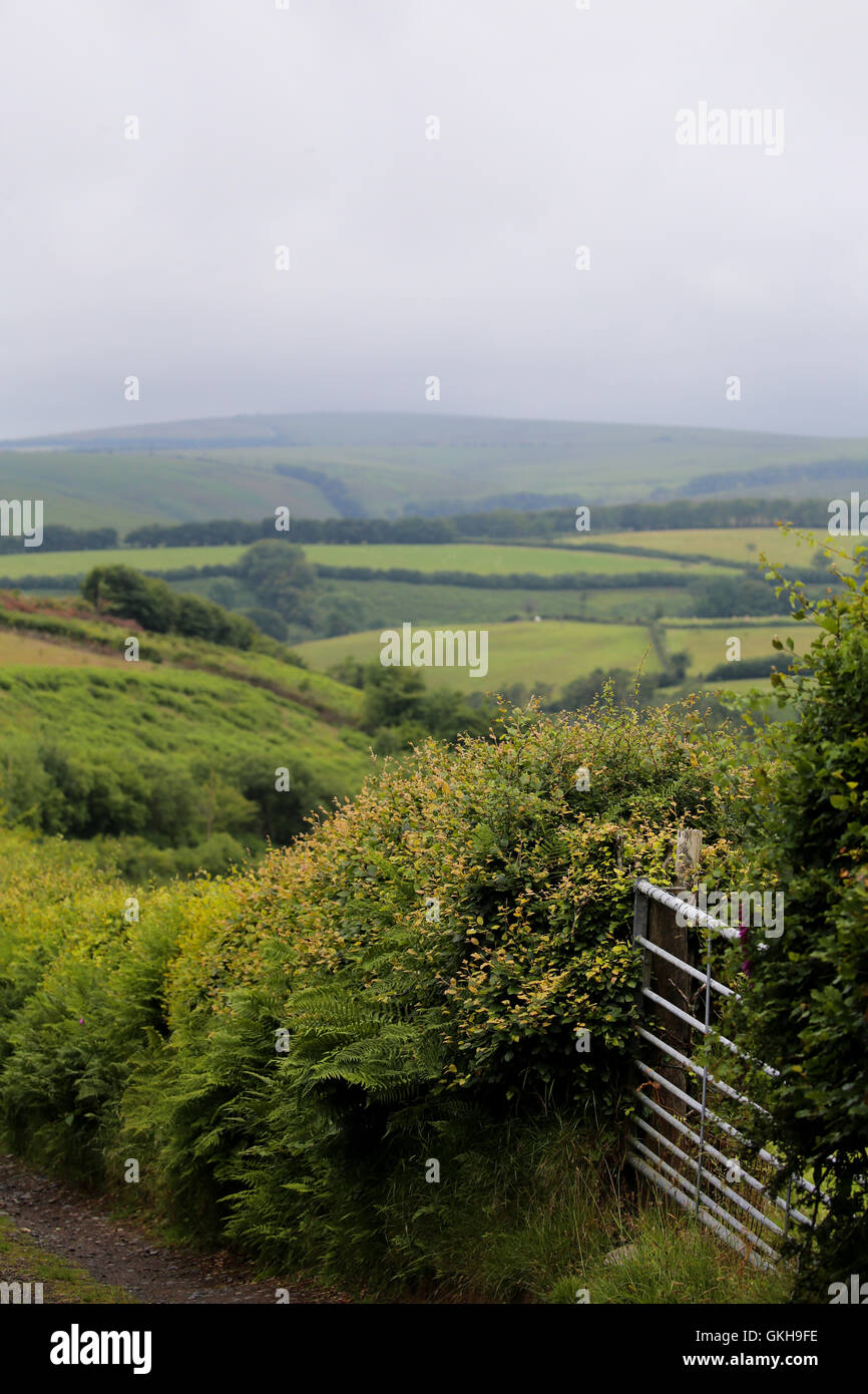 Gated entrance to the open countryside in Devon, England,Great Britain ...