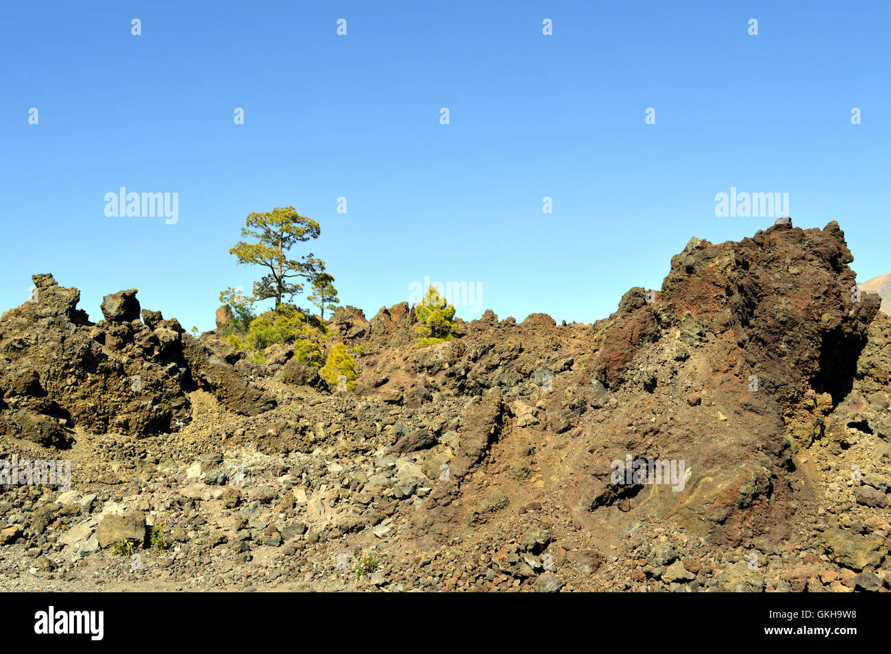 Mount Teide National Park in Tenerife Stock Photo - Alamy